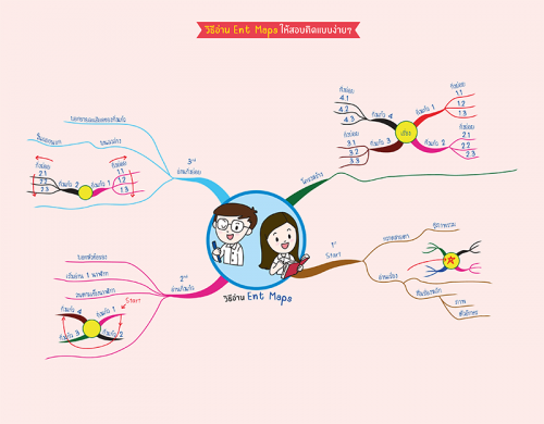 หนังสือ Ent Maps เคมี