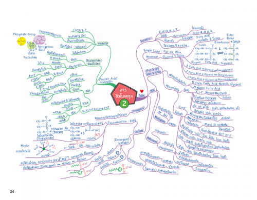 หนังสือ Ent Maps เคมี