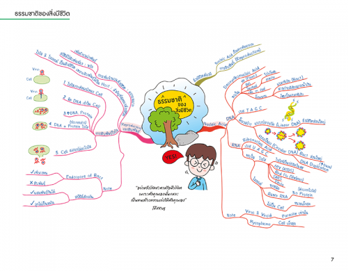 หนังสือ Ent Maps ชีววิทยา
