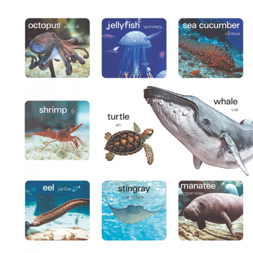 หนังสือลอยน้ำ 100 First Animals