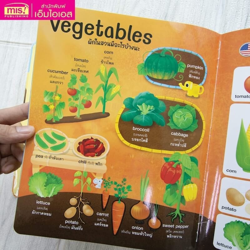 Sound book First Picture Dictionary for Kids