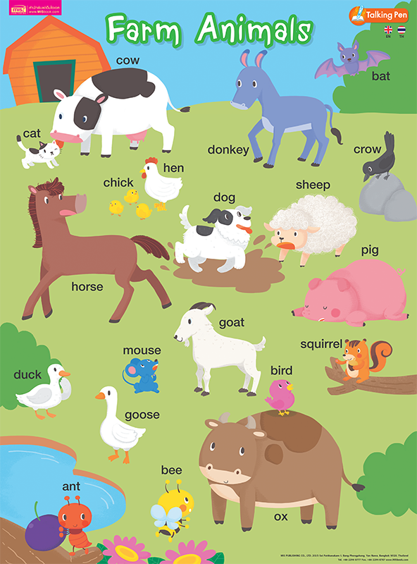 โปสเตอร์พลาสติก Farm Animals
