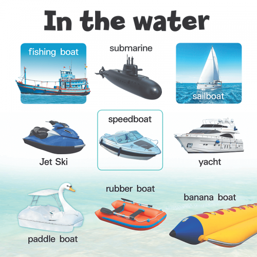 100 First Vehicles (Board Book)