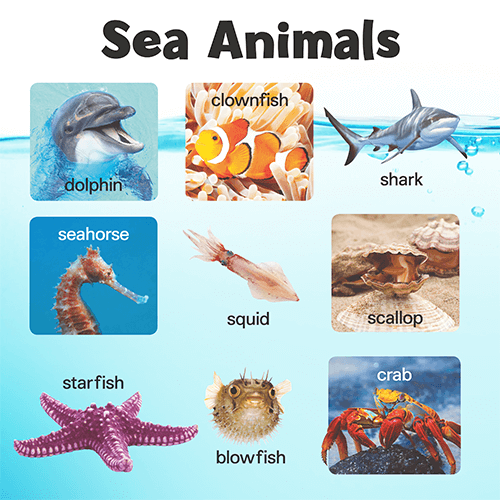 100 First Animals (Board Book)