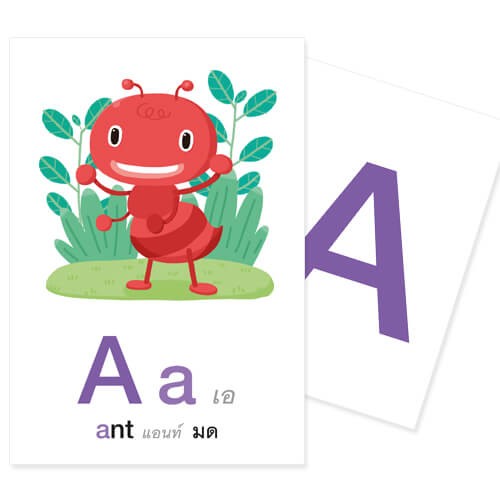 Big Card ABC แฟลชการ์ดขนาดใหญ่