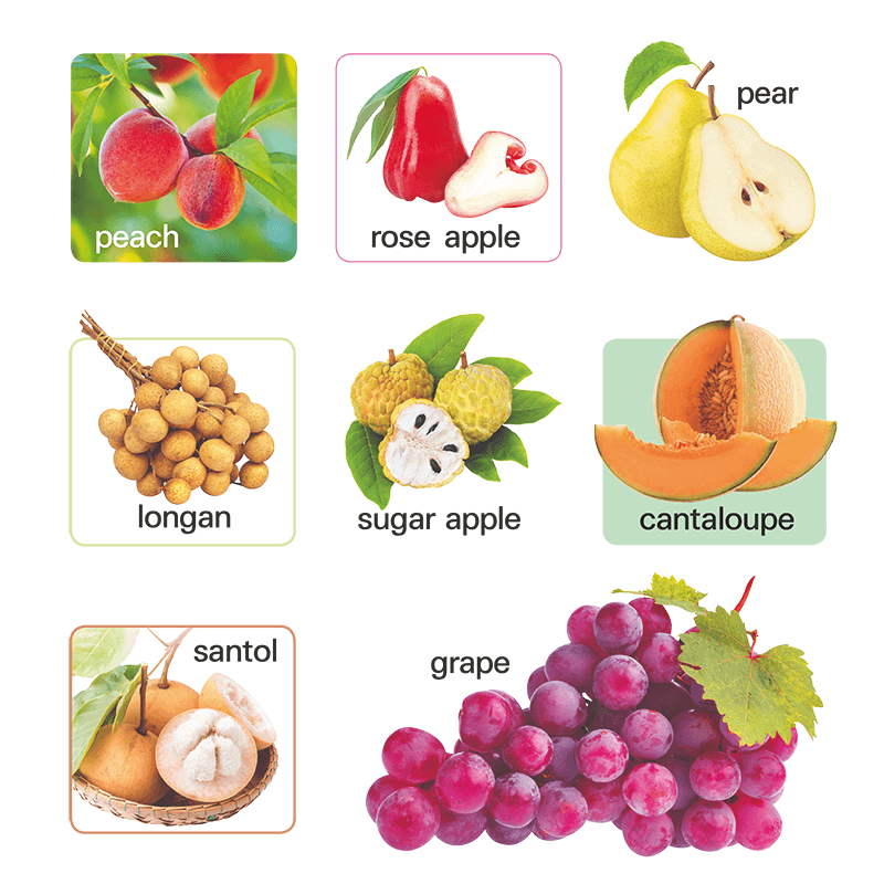 100 First Fruits & Vegetables (Board Book)
