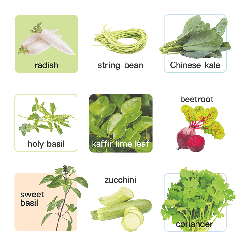 100 First Fruits & Vegetables (Board Book)