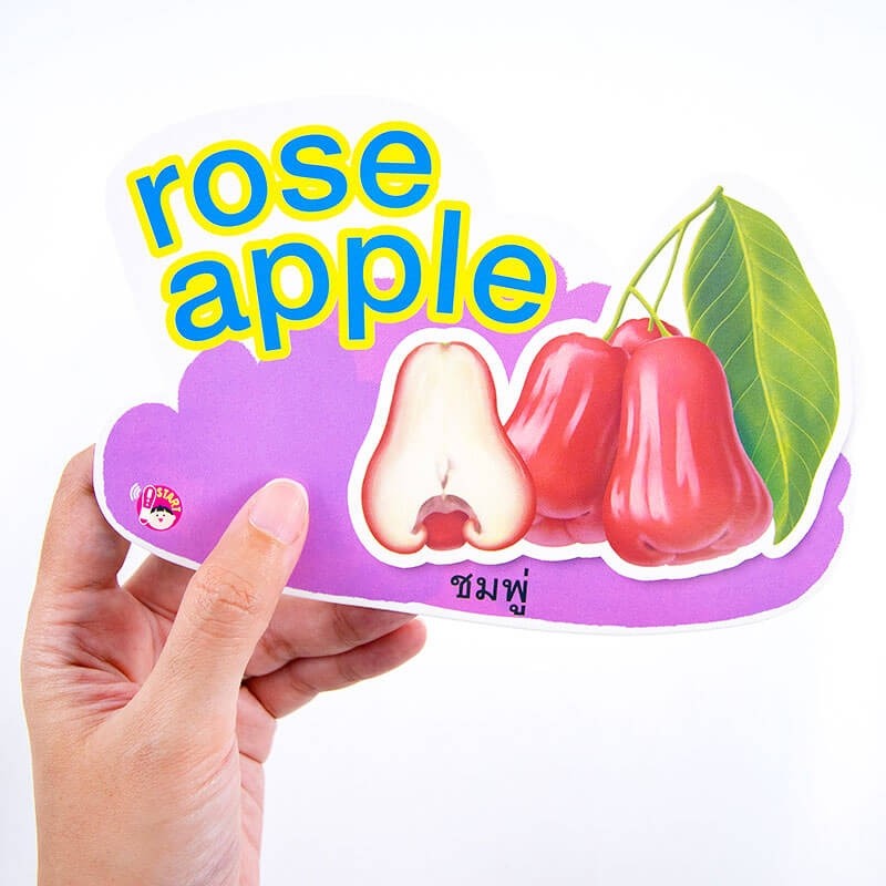 การ์ด ผลไม้ ไดคัท (Talking Pen)